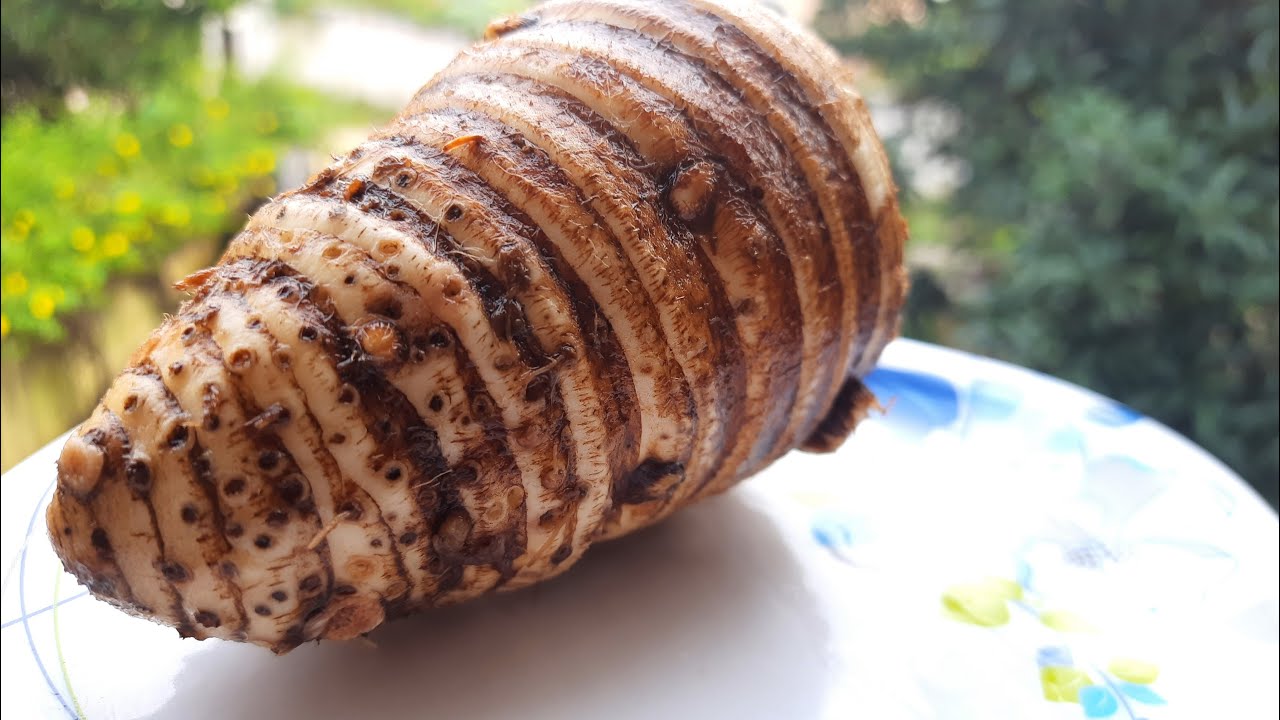 स्वादिष्ट बन्डा की सब्जी | Banda Ki Sabji Banane Ki Vidhi | Banda Ki ...