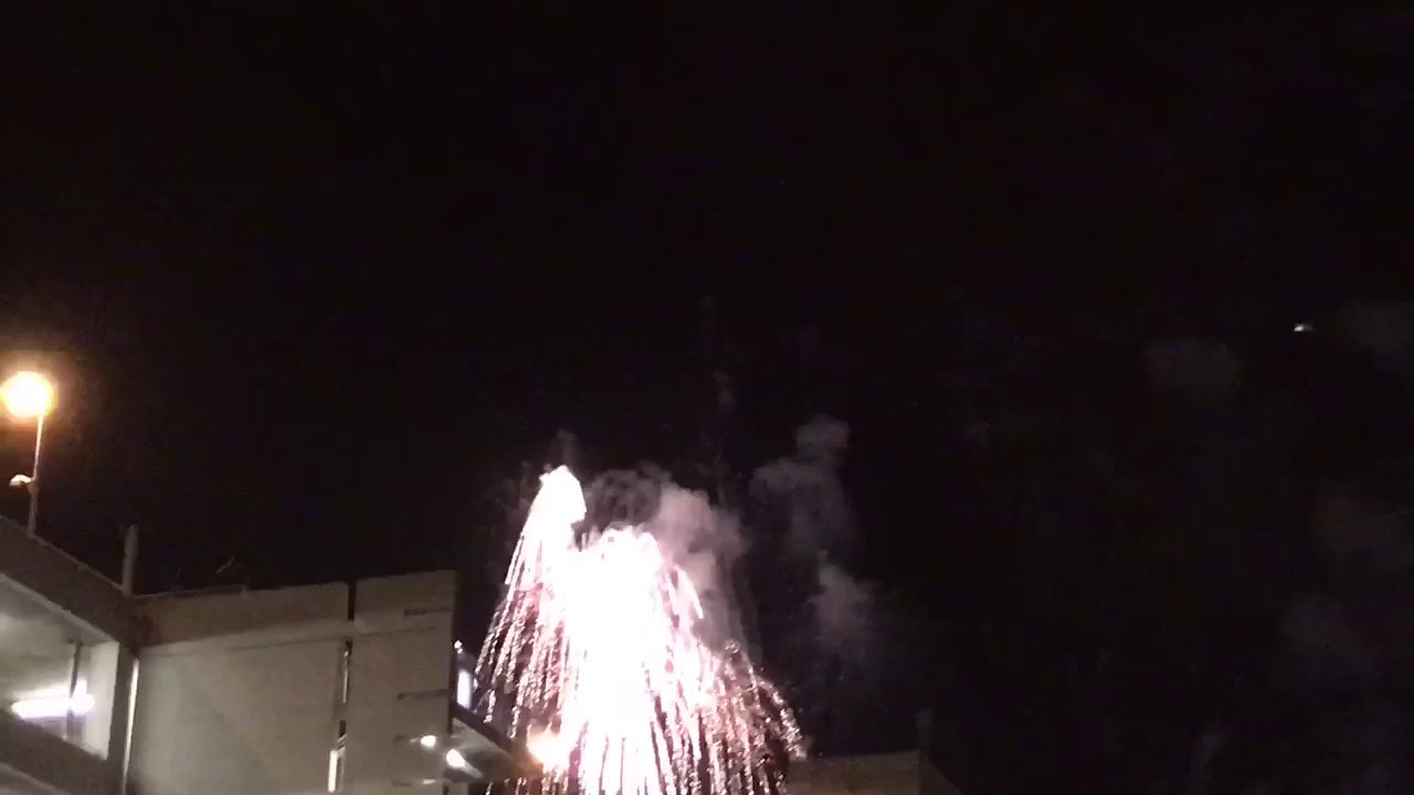 Macy Graham - Disneyland Visual Sample for Providence - YouTube