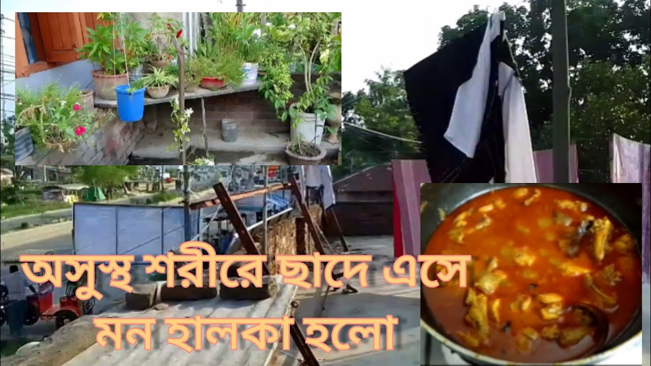 সোনালী মরগী সাথে টাকি মাছ ভর্তা, Jhosna Simple Life - YouTube