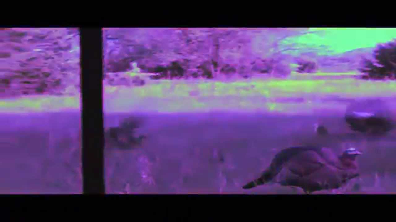 MLG PRO Turkey Collateral Headshot IRL - YouTube