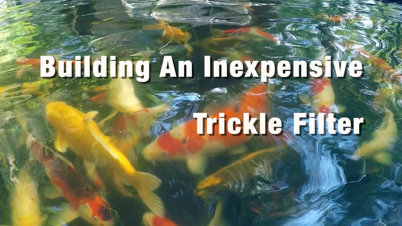 Building An Inexpensive Trickle Filter - YouTube