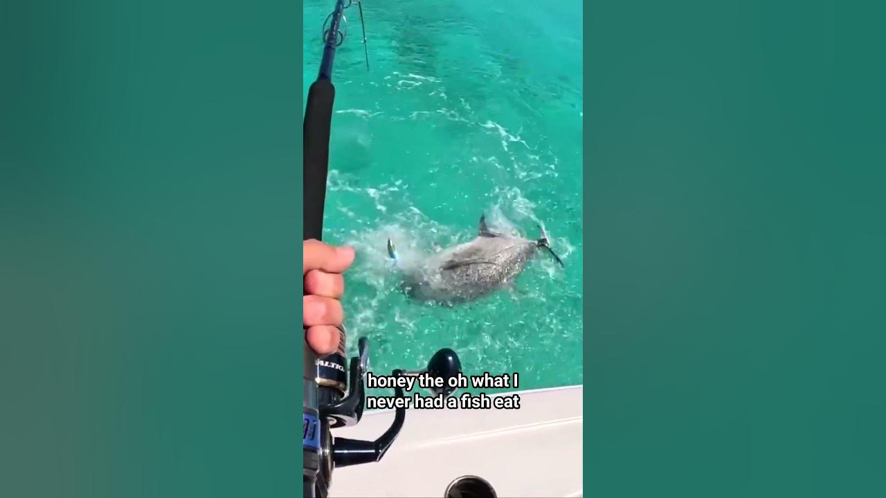 "Great Barrier Reef Adventure: Giant Catch Awaits at the Shore near ...