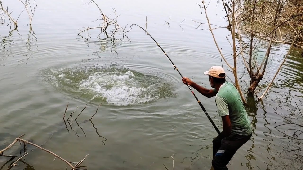 Amazing fishing| catching very big Rohu fishes in indian river| wild ...