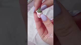 Tiny plants #unboxing #tiny #plants #tinyplants #kawaii #kawaiiaesthetic