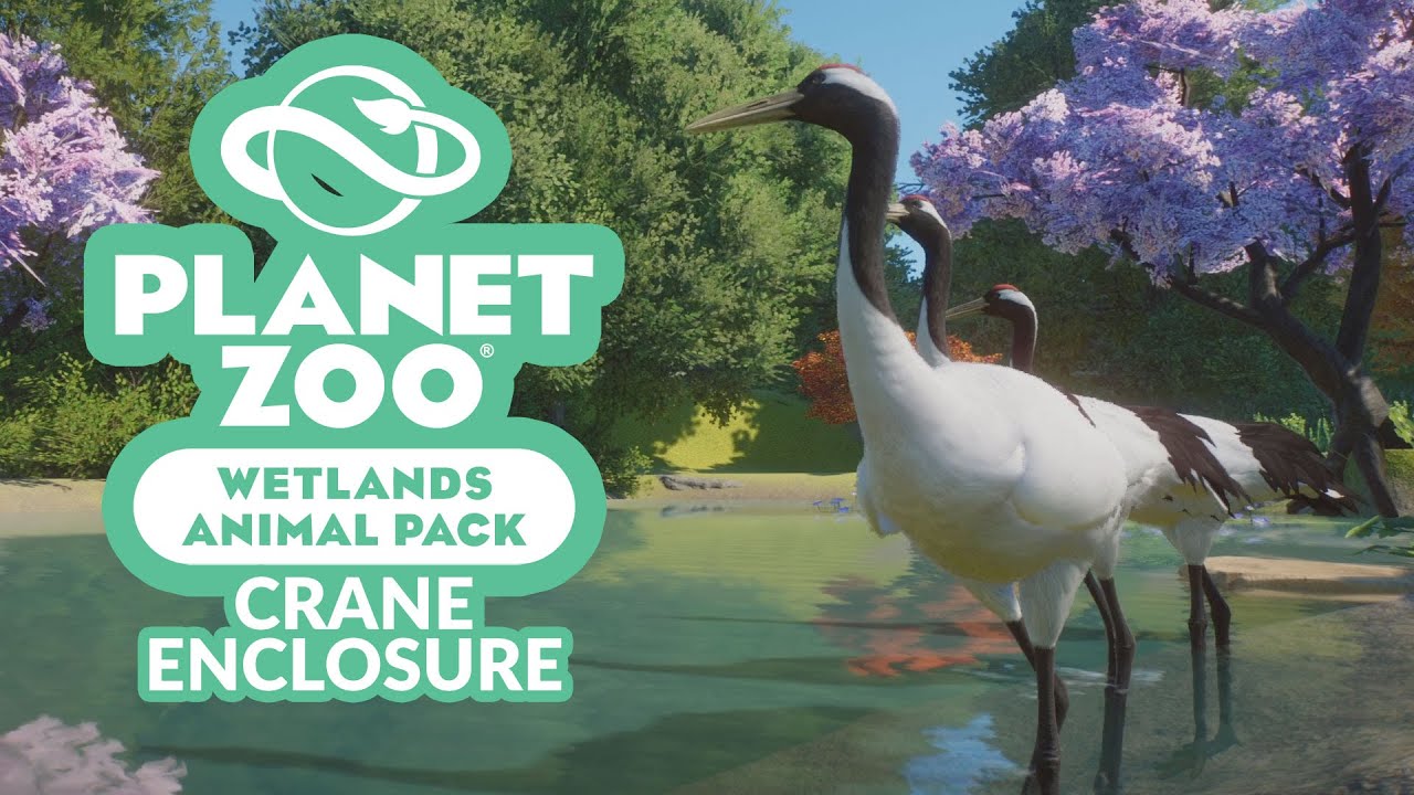 PLANET ZOO WETLANDS PACK DLC | Red Crowned Crane Enclosure & Animal ...