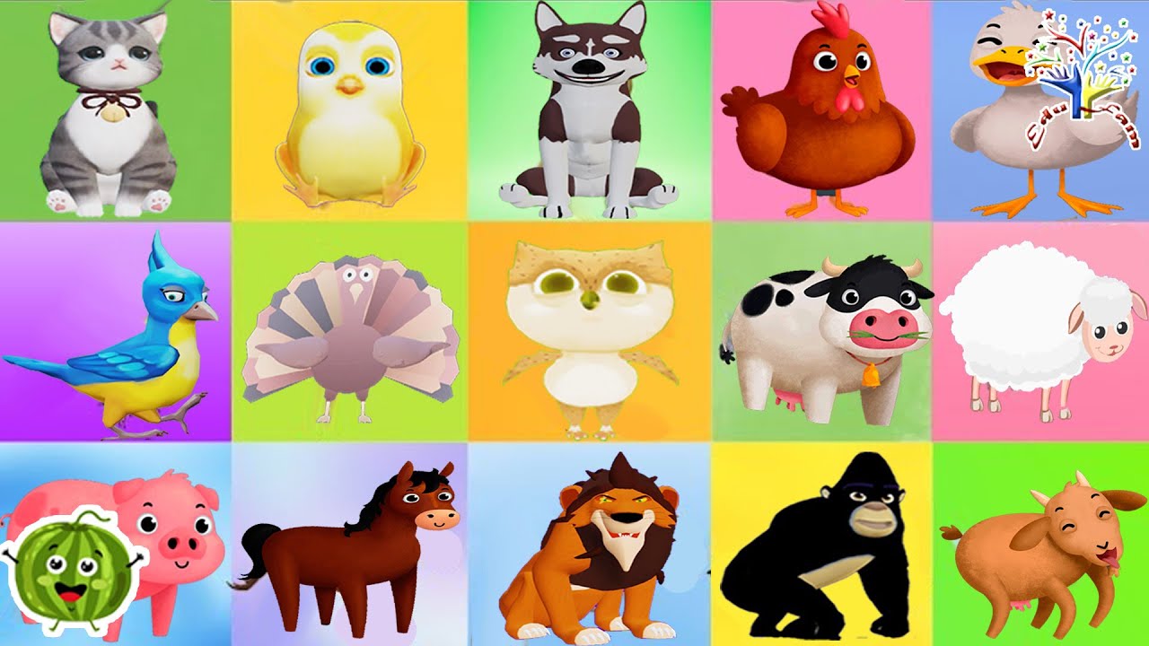 The Animal Sounds Song H3AJ3 Hooray Animal Sounds Cat, Dog, Pig Edufam ...