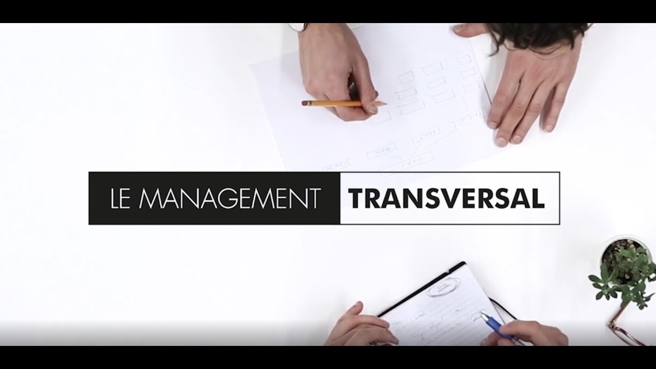 Le management transversal #IDDeCom - YouTube