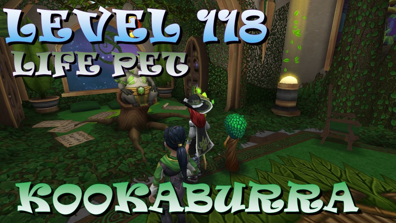 Wizard101-Level 118 LIFE Pet Quest! (Kookaburra) - YouTube