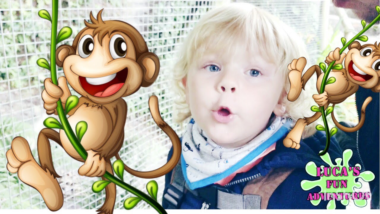 The Monkey sanctuary St Martins nr. Looe Cornwall wild futures ...