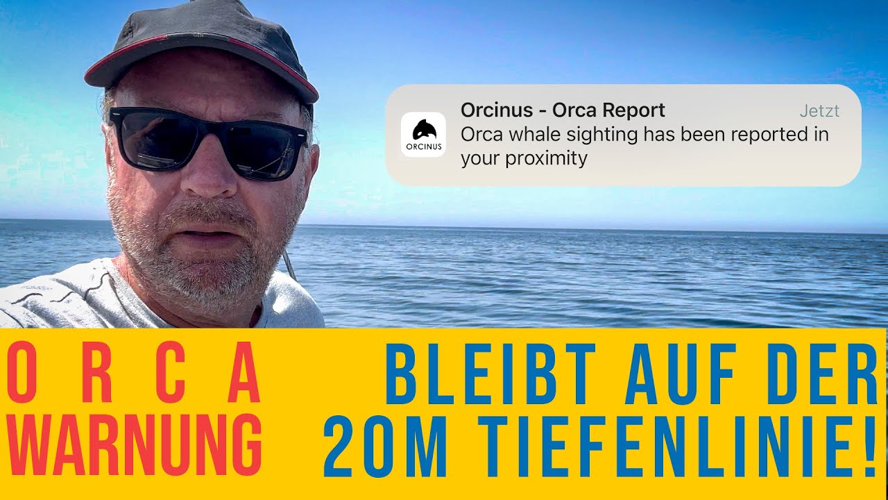 Orca-Warnung. Bleibt auf der 20m Tiefenlinie! - YouTube