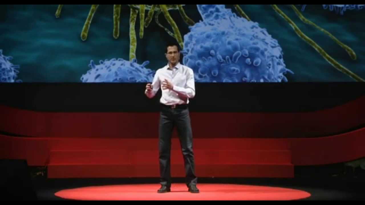 Dr. Gal Markel explains a cancer cell treatment breakthrough - YouTube