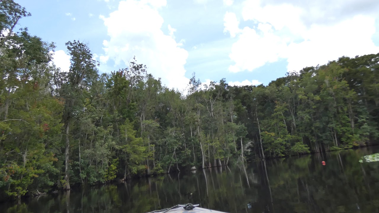 Oklawaha River below Rodman Lake - YouTube