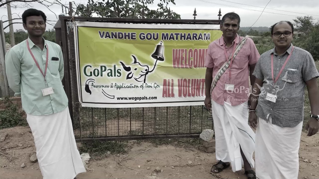 10 Years of GoPals | Empowering Farmers, Caring for Cows - YouTube