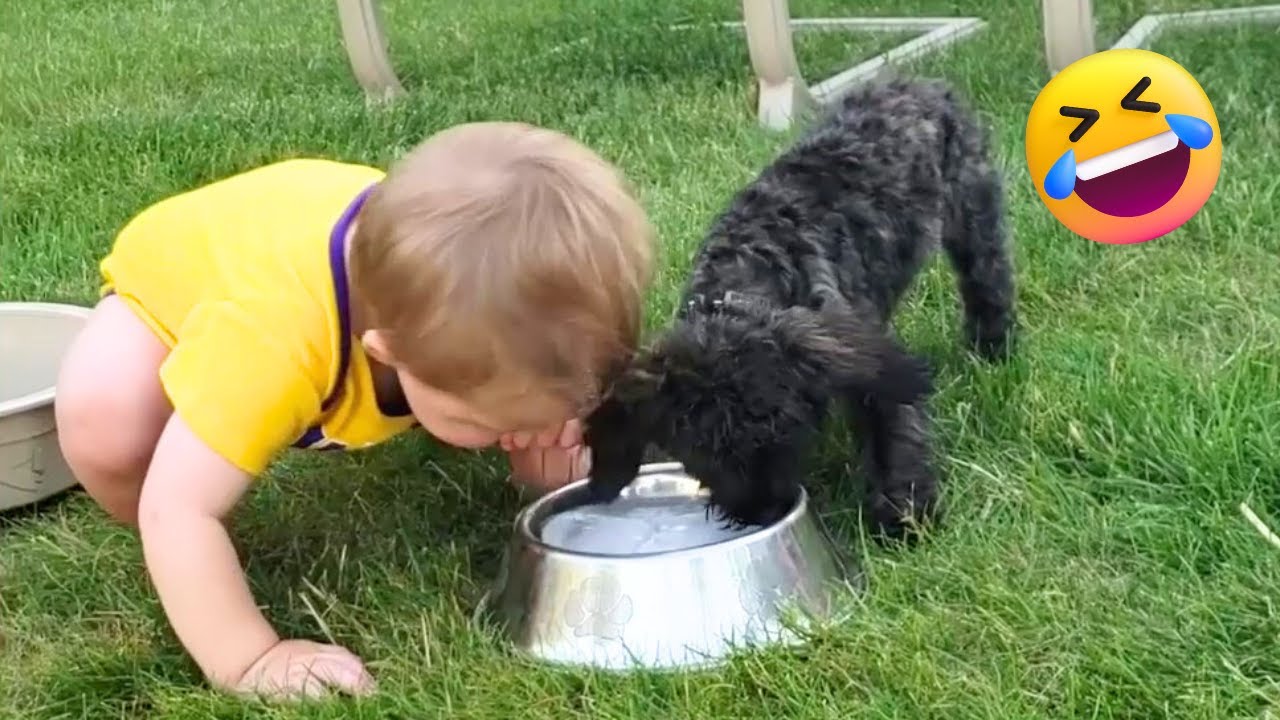 Everyday is A Dog Day! | Adorable Kids with Puppy Compilation - YouTube