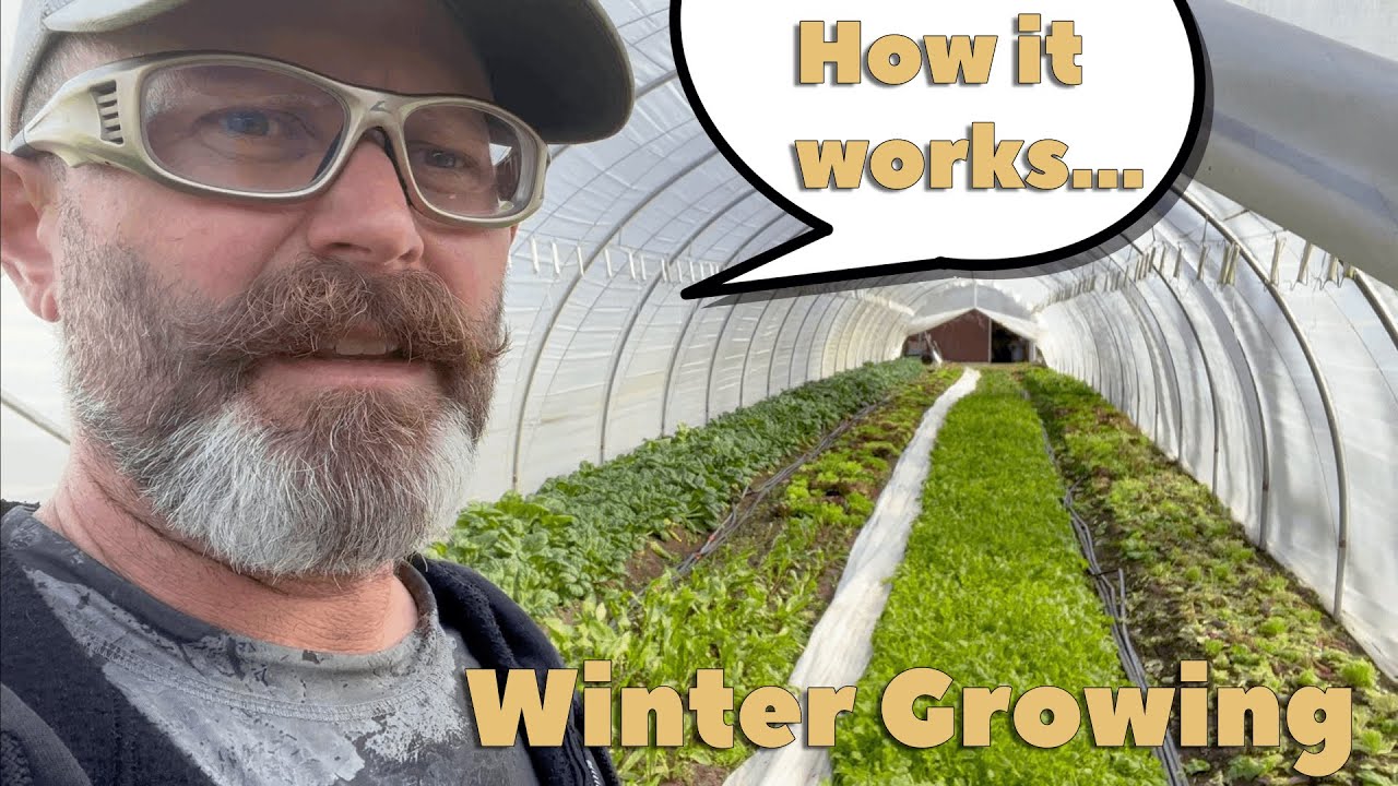Winter Growing | How it Works... - YouTube