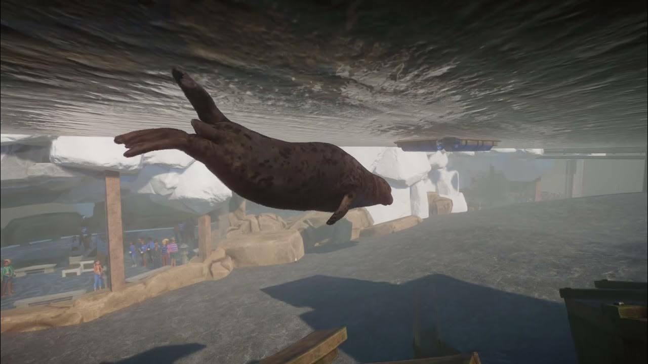 Grey Seal | Planet Zoo Animals - YouTube