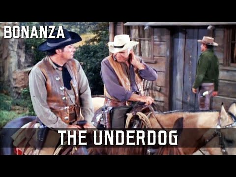 Bonanza - The Underdog | Episode 180 | Classic Western | TV Series | Wild West | English
