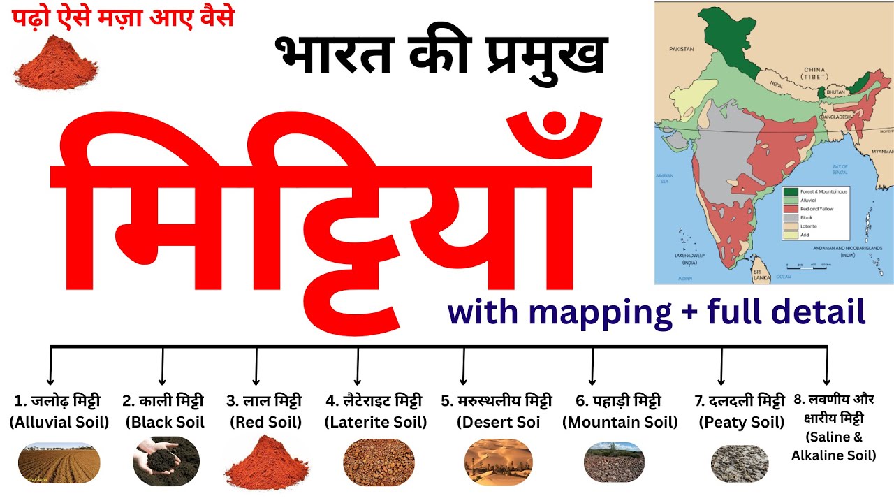 भारत की मिट्टियाँ | Types of Soils in India with Map | Indian Geography ...