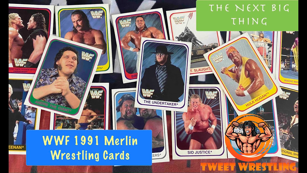Talking Wrestling Cards - The Complete 1991 Merlin WWF Wrestling Card ...