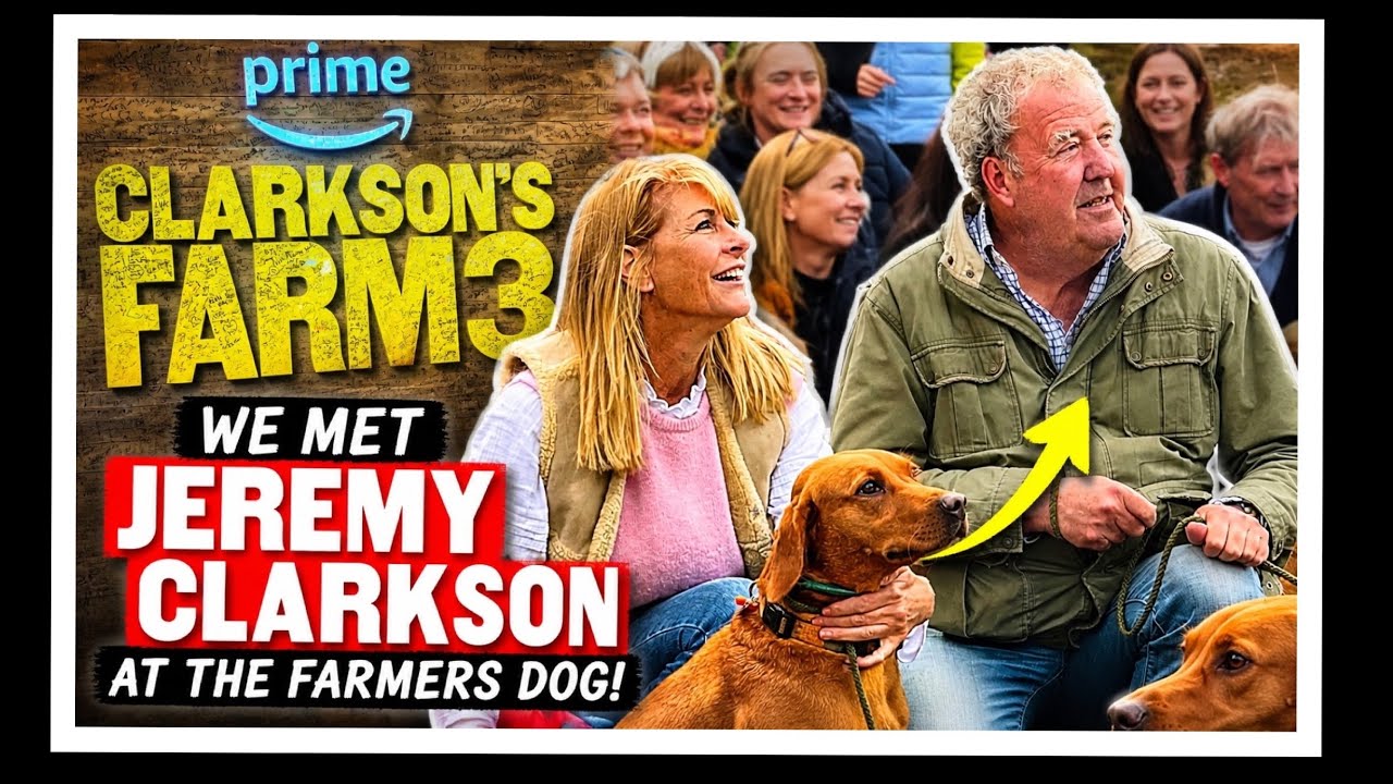 Clarksons Farm Trip - Diddly Squat & The Farmers Dog - YouTube