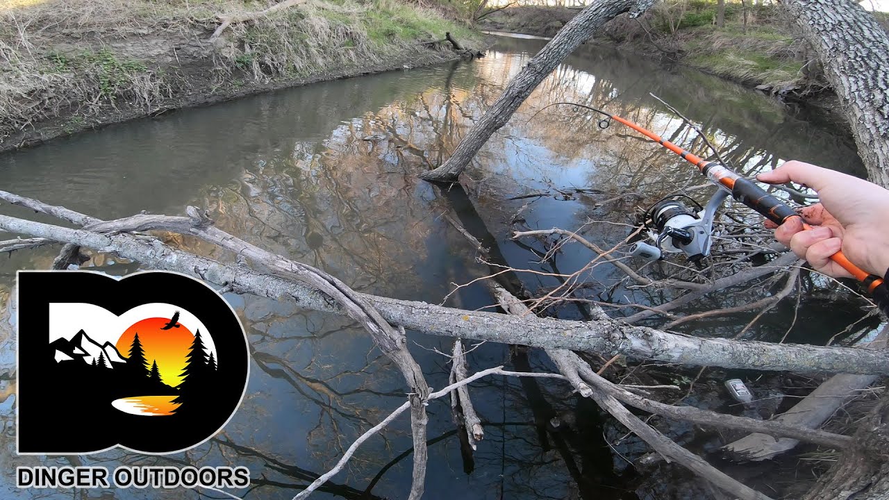 How I Catch Bait Fish! (Simple & Easy) - YouTube