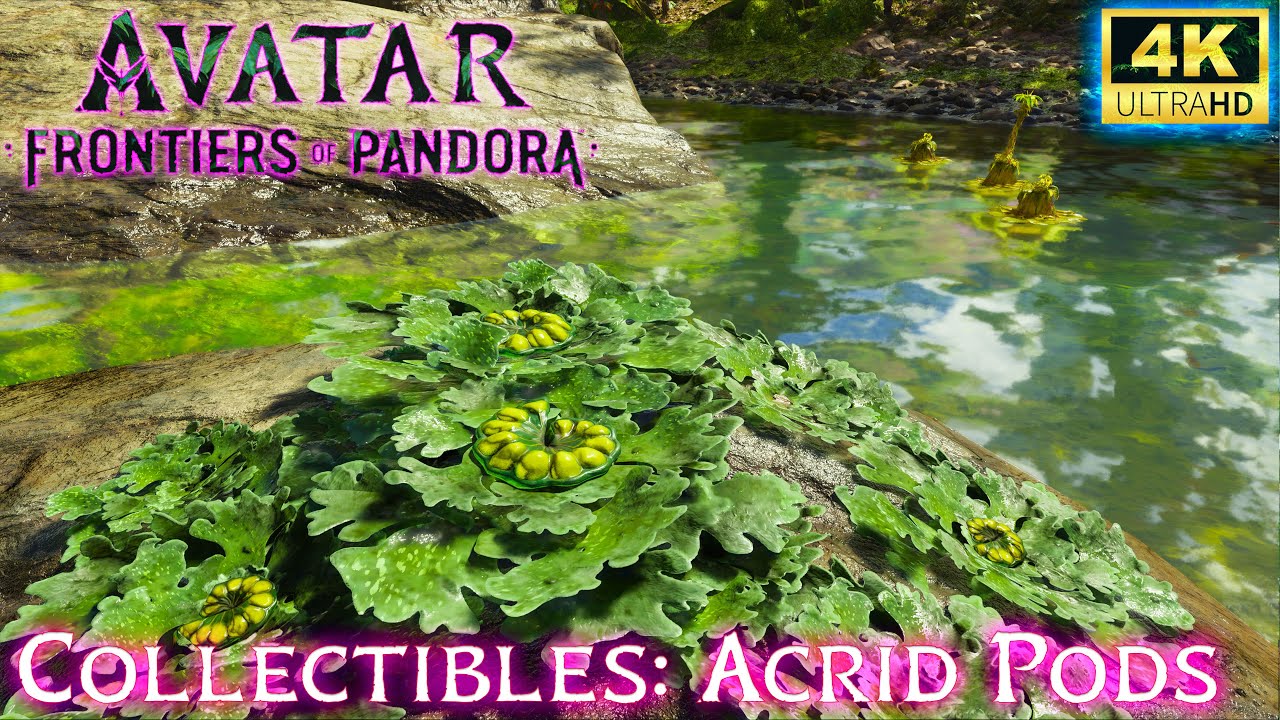 Collectibles (4K) / How To Get Acrid Pods / Avatar Frontiers Of Pandora ...