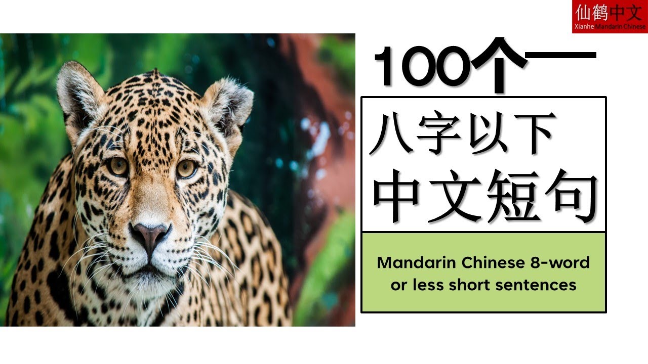 100 Mandarin Chinese 8-word or less short sentences with PINYIN #学中文 ...