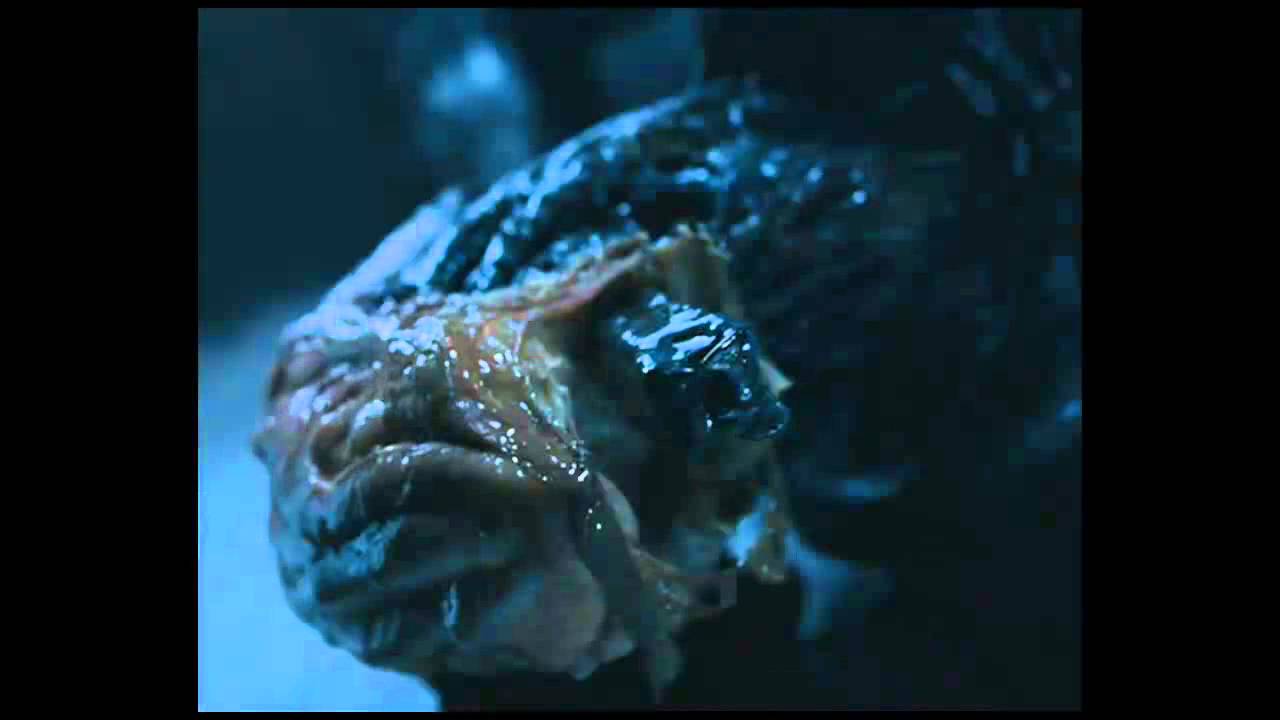 AVP Deleted Scene: Predator Humor + Predator Split up Story ٩(͡๏̯͡๏)۶ ...