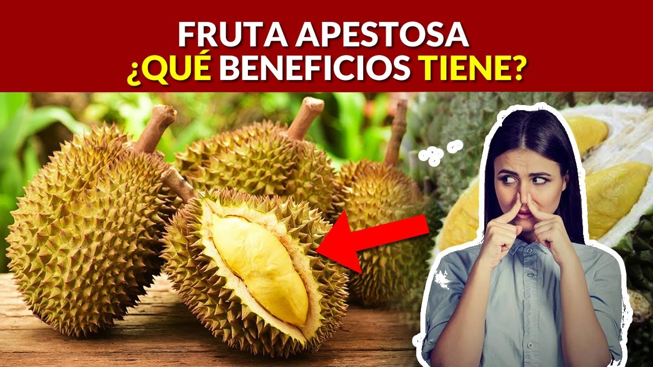 Durián, qué beneficios tiene comer la fruta más APESTOSA del MUNDO ...
