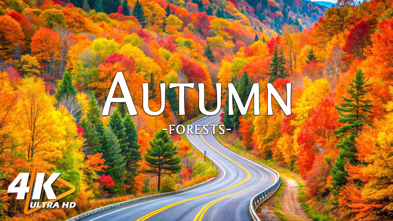 Autumn Scenic Landscape with Beautiful Piano Music🍁Autumn in the ...