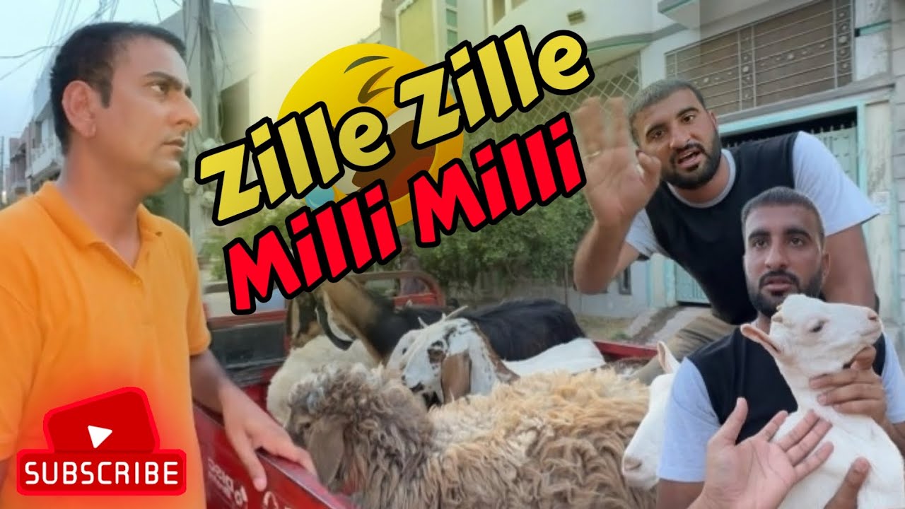 Zilli zilli x Turab sabtain and wahab bhai😂🤣 | sher mein dehat | Turab ...