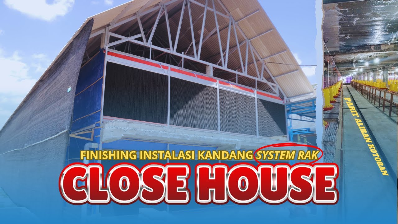Finishing Pembangunan Kandang Close House System RAK serta Cara ...