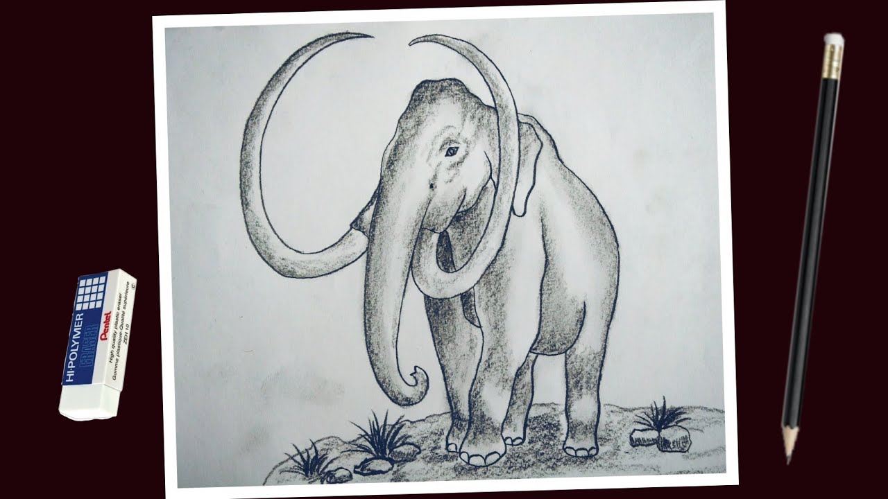 How to draw a Mammoth easy step by step for beginners / Mammoth drawing ...