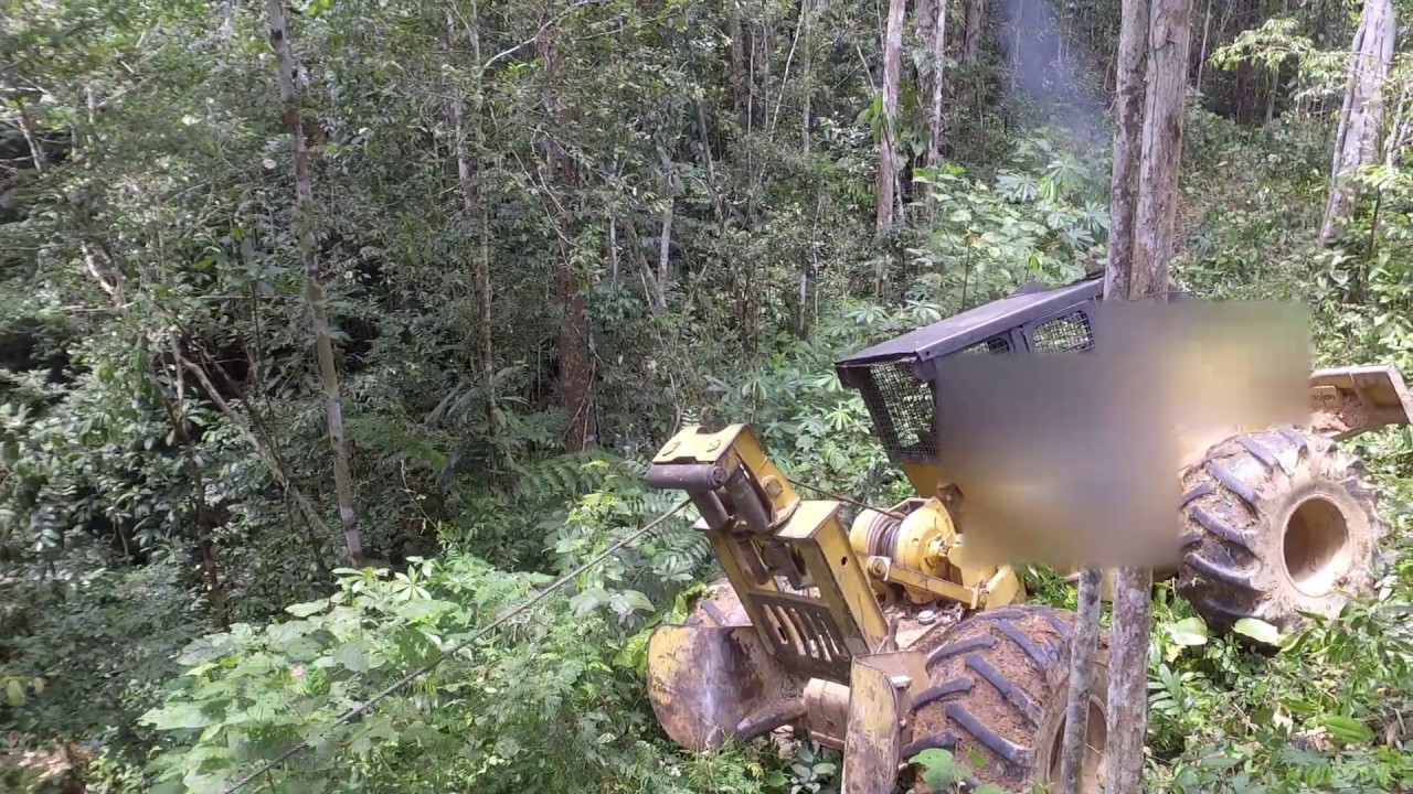 Drone recording of a forestry tractor during a logging operation - YouTube
