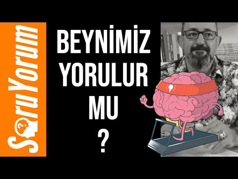 SoruYorum - Beynimiz Yorulur Mu ?