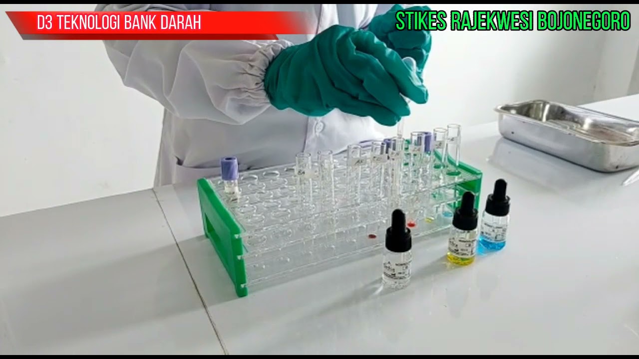 Pemeriksaan Golongan Darah metode Tabung - YouTube