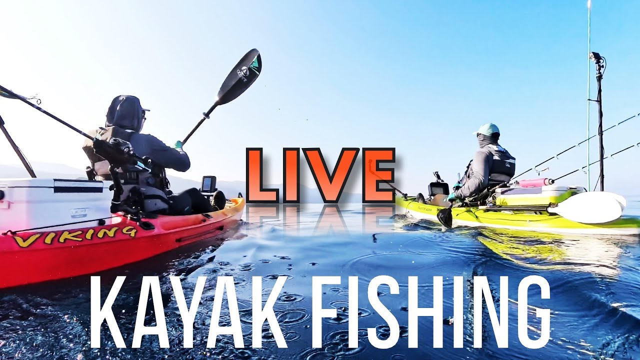 浅場から始め深場までヒラマサ、イカ、真鯛狙います カヤックフィッシング【LIVE96】 - YouTube