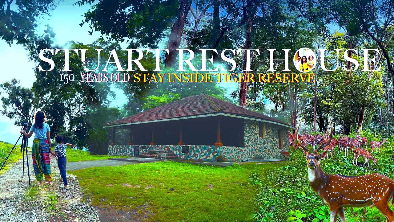STAY IN A BRITISH FOREST REST HOUSE DEEP INSIDE WILDERNESS OF ANAMALAI ...