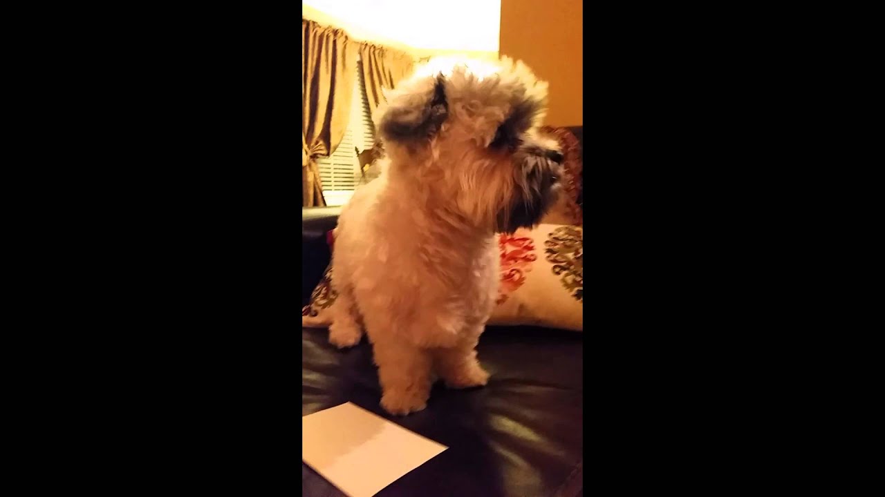 Ask Nutella the Fella Episode 1: Bolting - YouTube