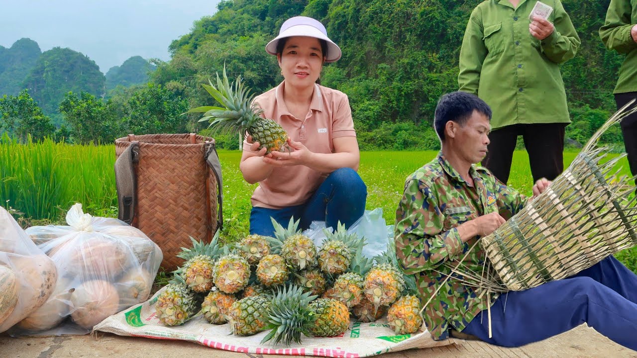 Harvest ripe pineapples, weave baskets for storage - Rural Life - YouTube