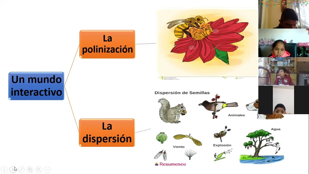 Clase de lengua materna español, "Los procesos naturales en pocas ...