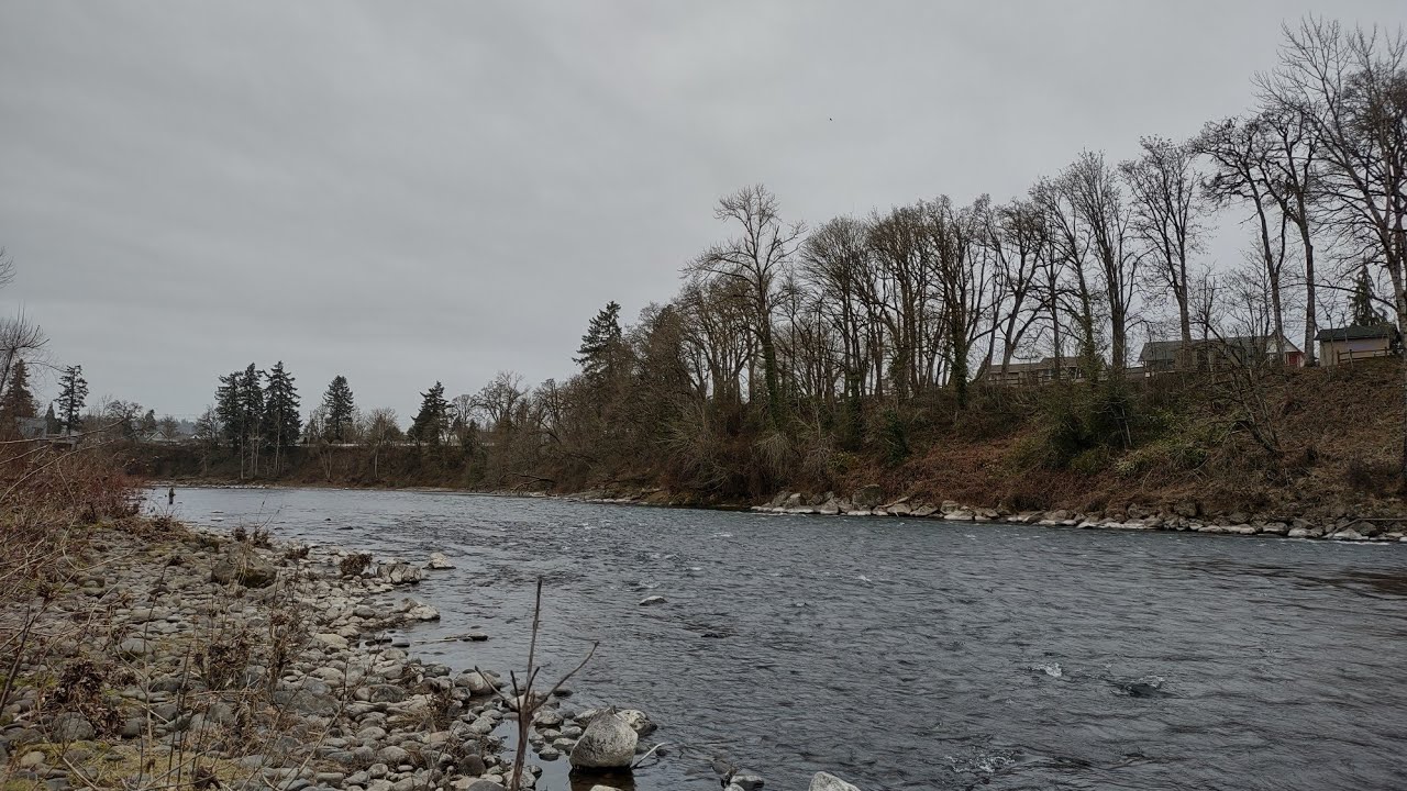 Rockhunting the Clackamas river below high rocks Gladstone Oregon - YouTube