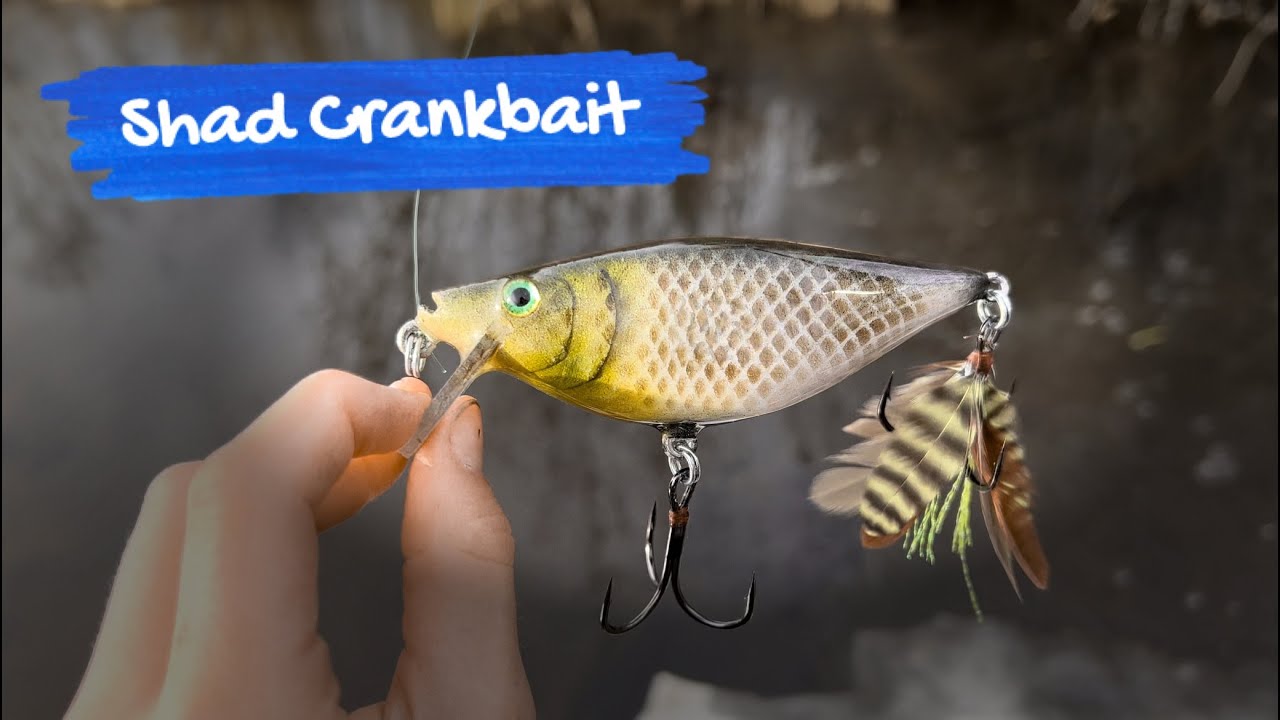 How to make a Shad Crankbait out of wood.#fishing #luremaking - YouTube
