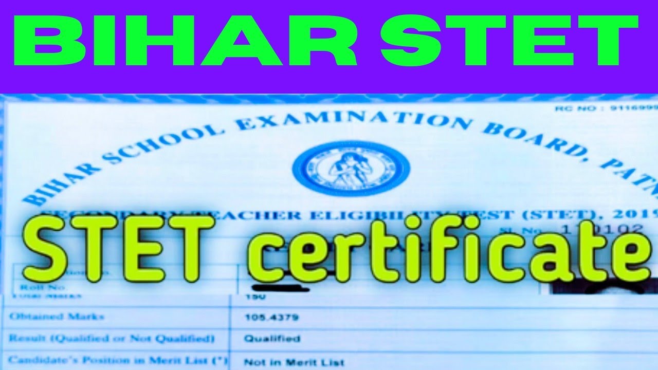 देखो STET सर्टिफिकेट कैसा/ क्या-क्या है इसमें दर्ज/bihar stet 7th phase ...