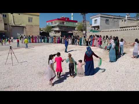 Drej Ahmet ve Ekibi 2022 Yeni Nadi Yare #Gülaçan #Zaxper #Köyü…