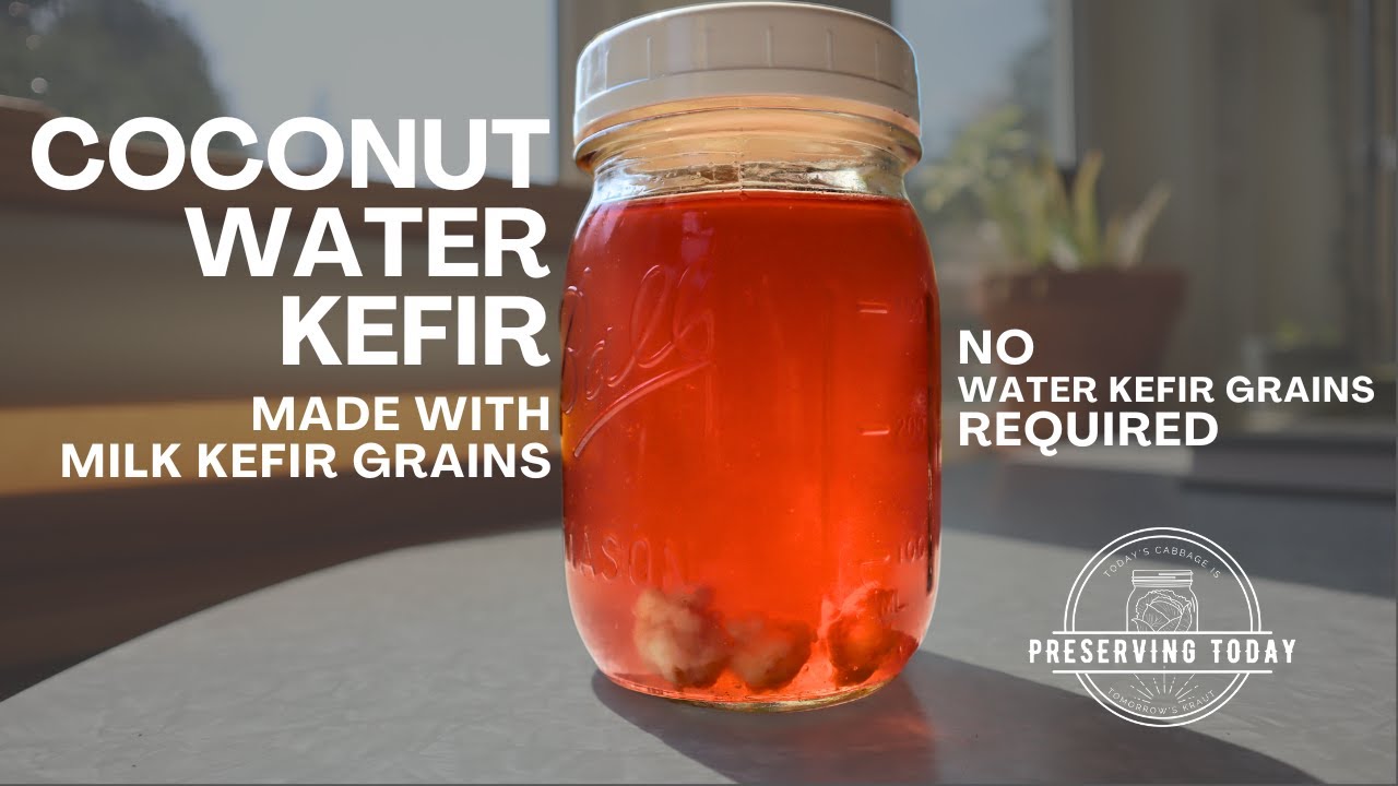 Make Coconut Water Kefir with Milk Kefir Grains - YouTube