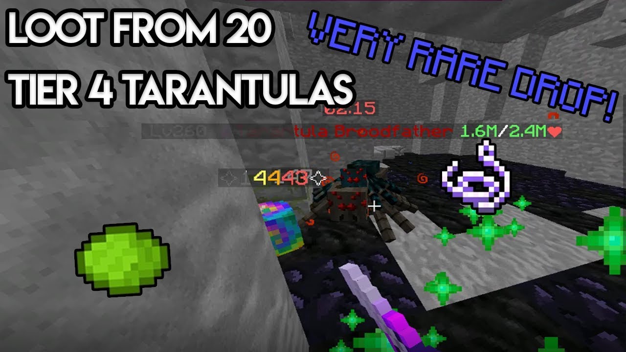 Loot From 20 Tier 4 Tarantulas Hypixel Skyblock - YouTube