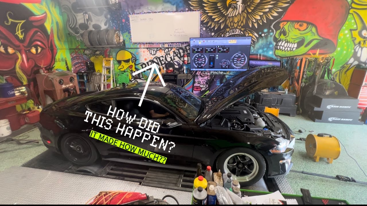 FIRST DYNO DAY and I made HOW MUCH? SLOWEST MUSTANG S550 EVER - YouTube