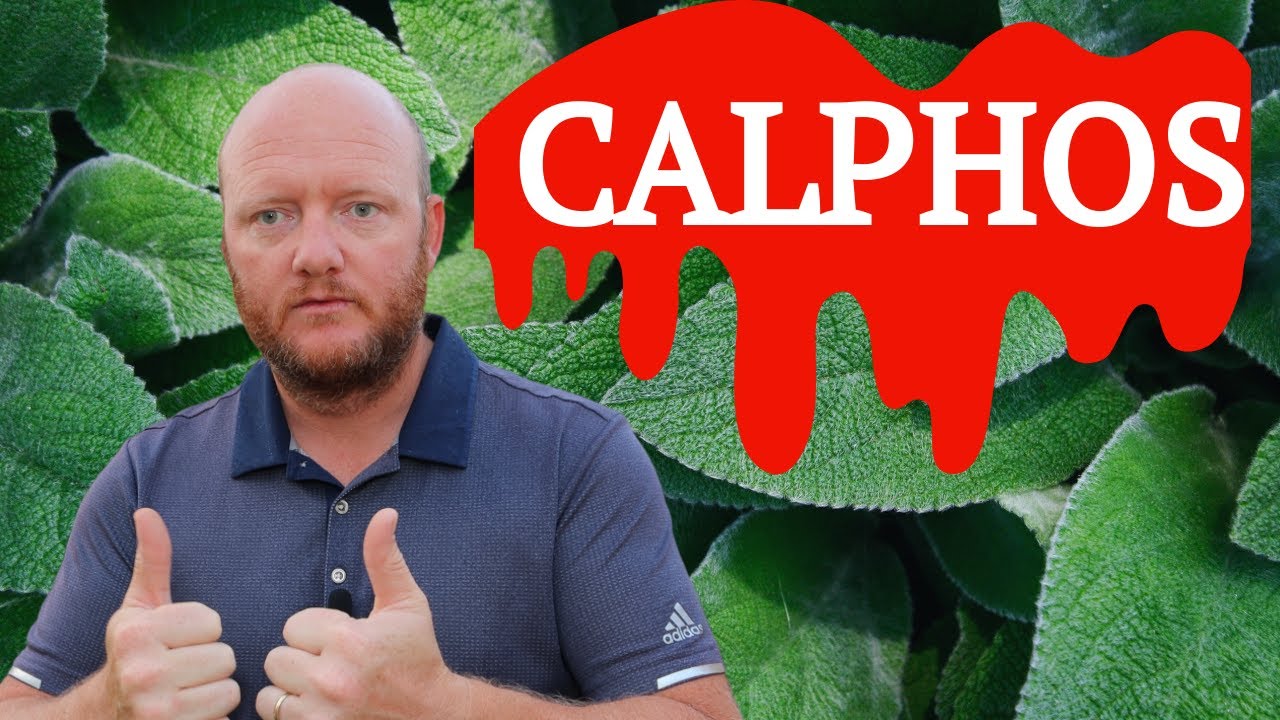 HOW to APPLY CALPHOS in the GARDEN |Bee13Bux - YouTube