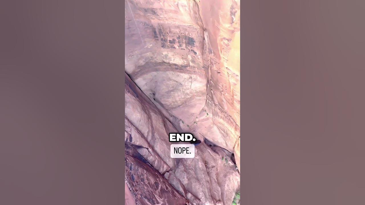 This Woman Is Incredibly Brave And Fearless YouTube this-woman-is-incredibly-brave-and-fearless-youtube